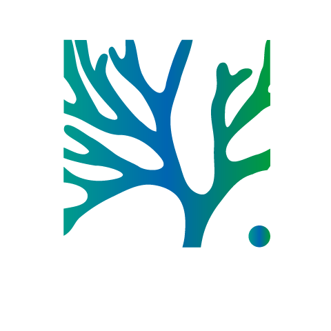 AI.CODIUM® - Logogramma